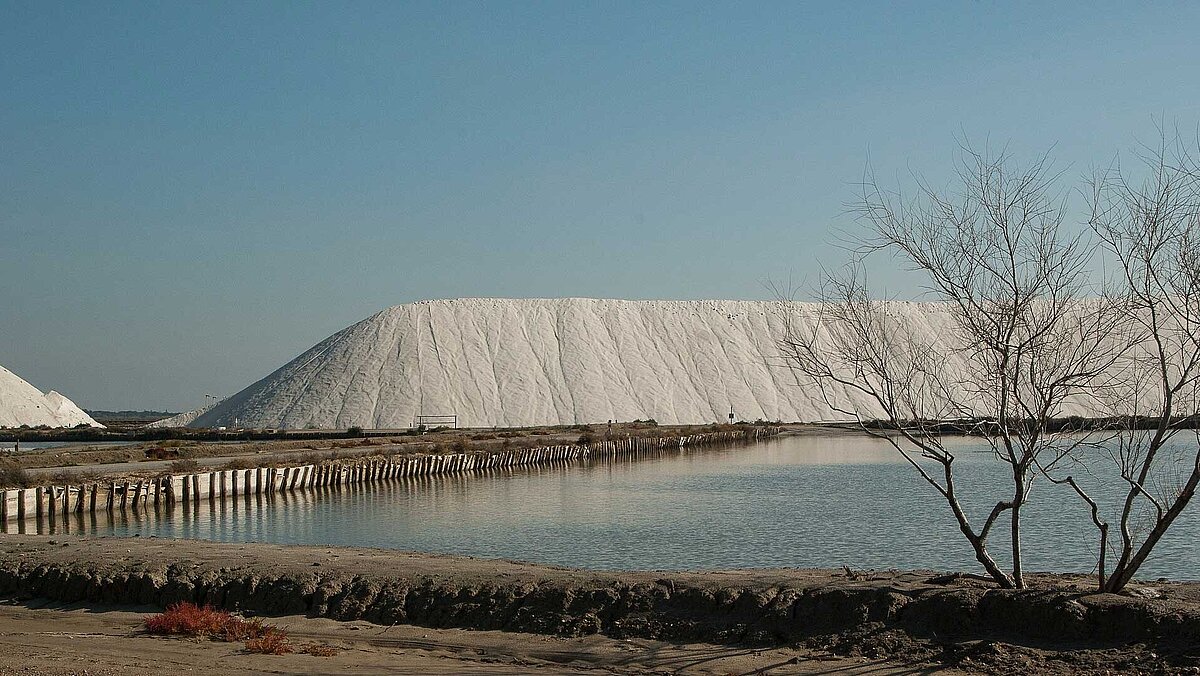 分析盐水中低TOC浓度 - Elementar